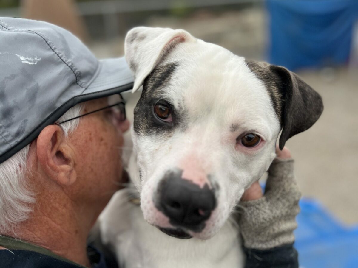 Dr. Melanie Wagner takes up the leash as LBACS’ top dog • Long Beach Post